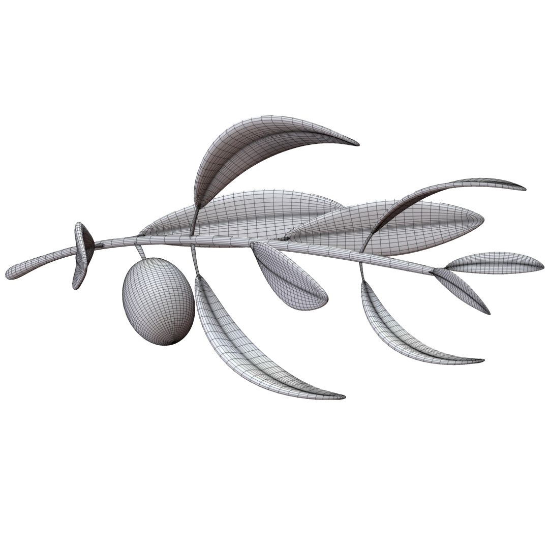 3D Olive Branch - TurboSquid 1309288