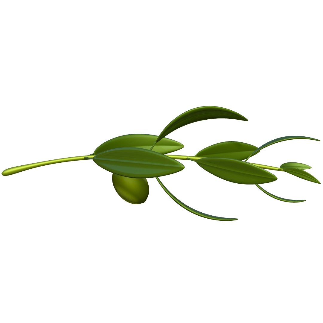 3D Olive Branch - TurboSquid 1309288