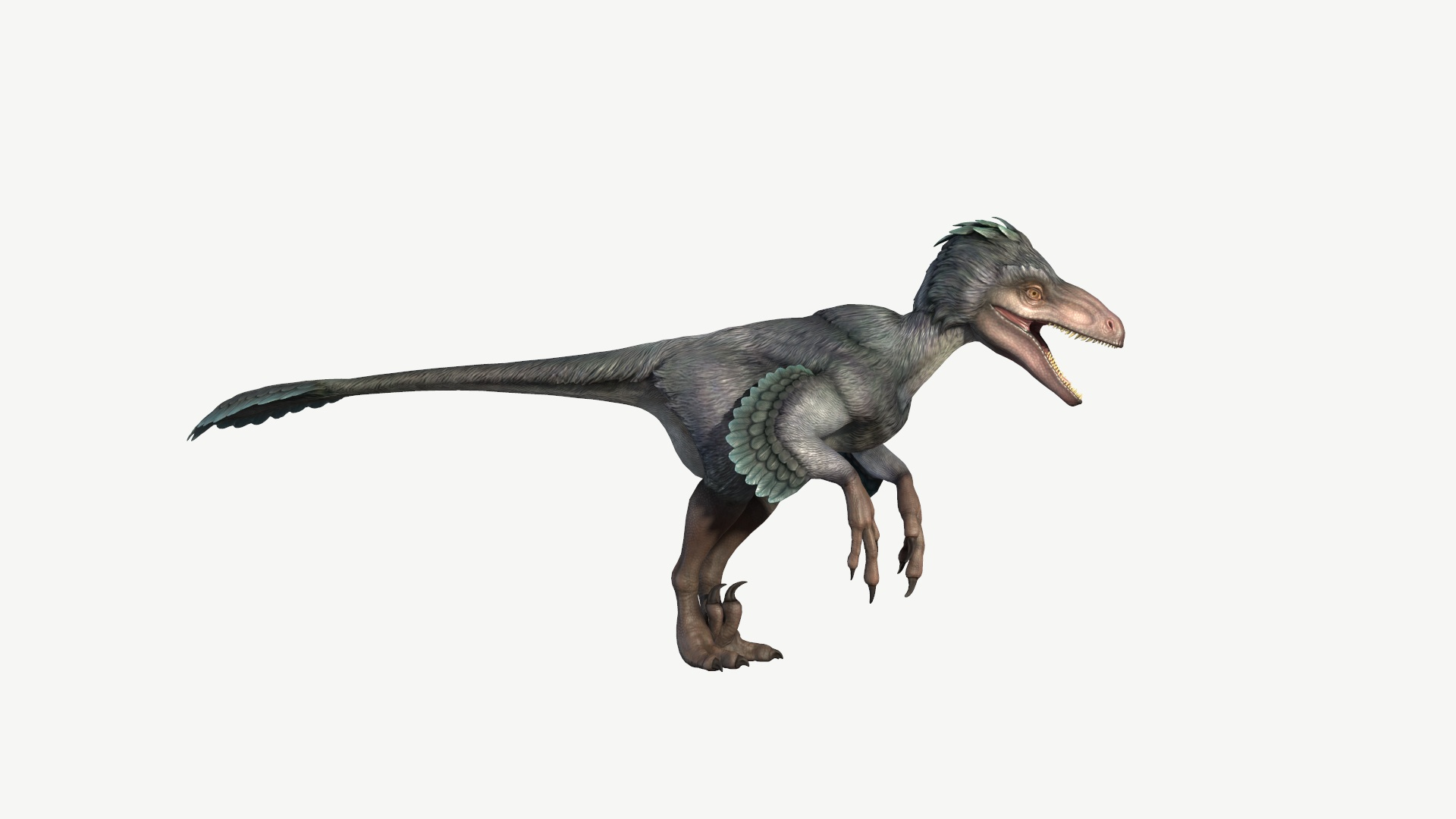 3d Deinonychus Model Turbosquid 1950795
