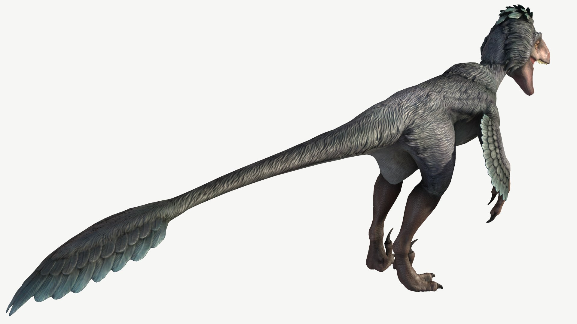3d Deinonychus Model Turbosquid 1950795