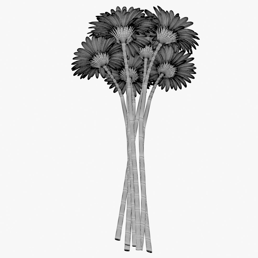 Gerbera Stem Model - TurboSquid 1200934