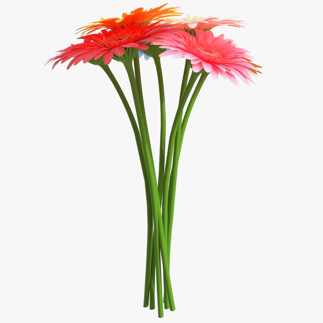Gerbera Stem Model - TurboSquid 1200934