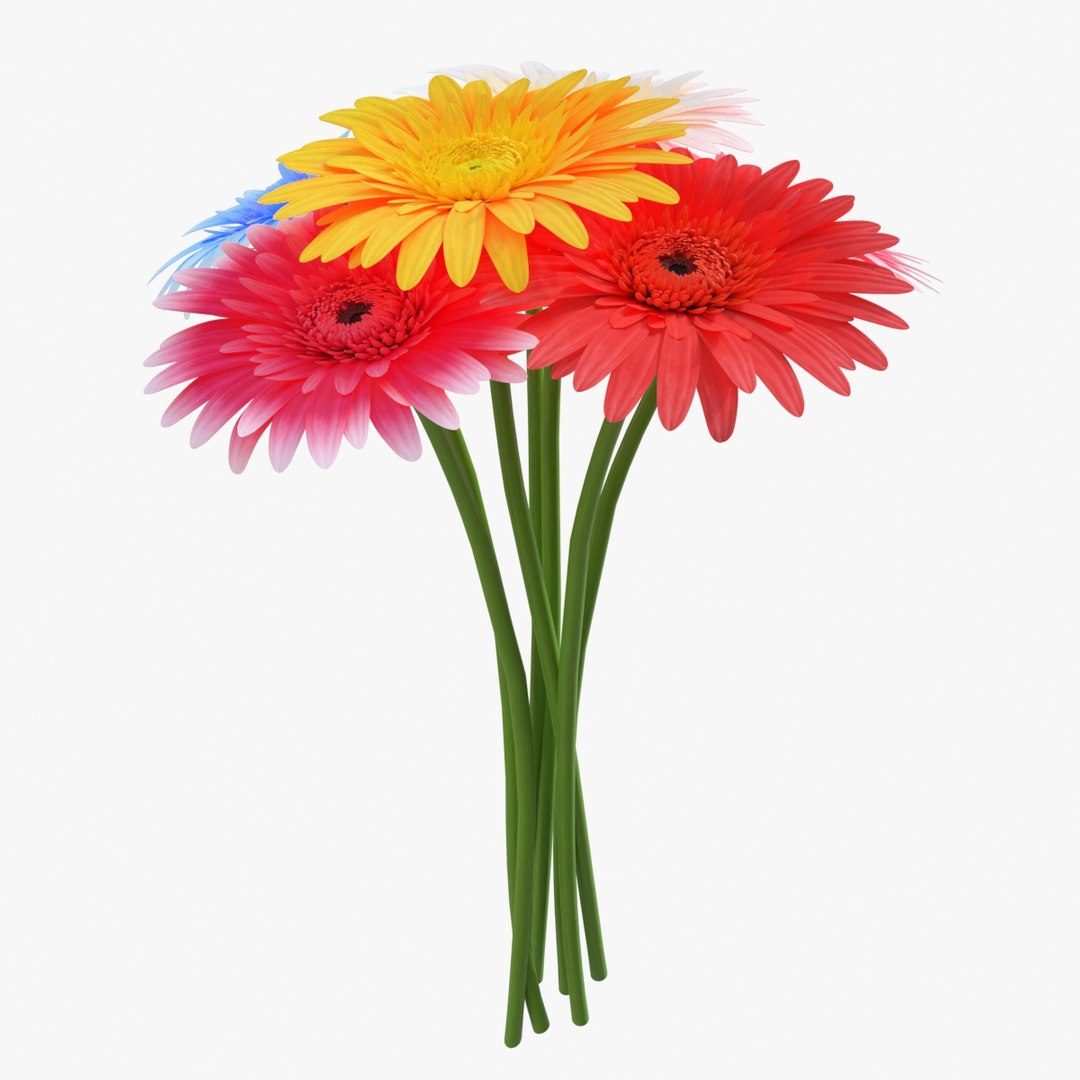 Gerbera Stem Model - TurboSquid 1200934