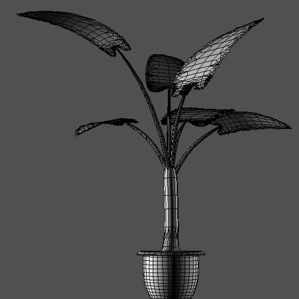 3d model small plant