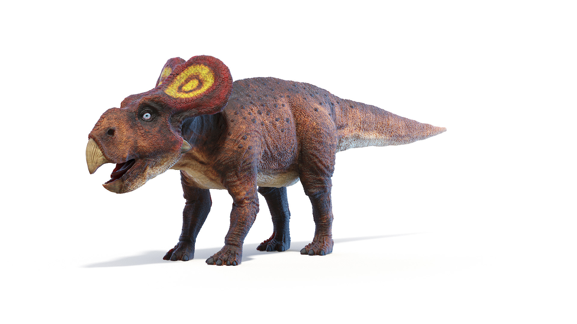 Protoceratops Animated 3D Model - TurboSquid 1929029