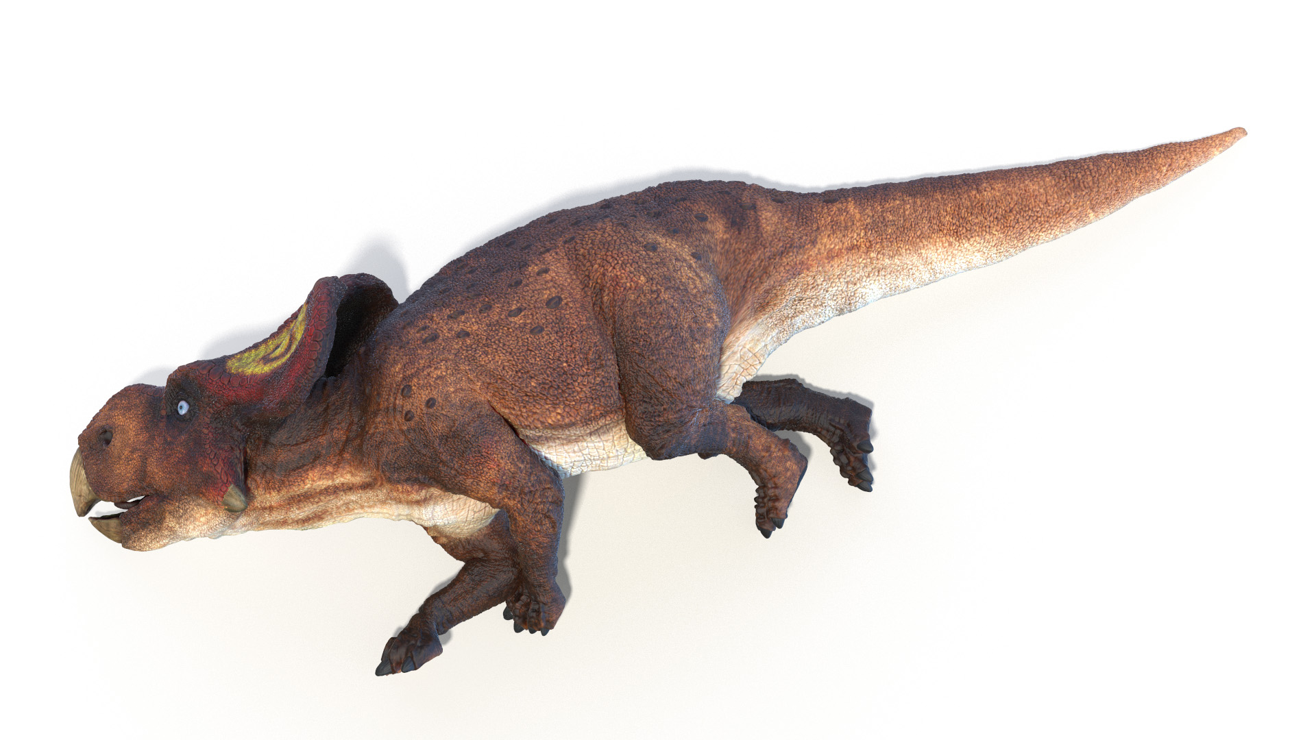 Protoceratops Animated 3D model - TurboSquid 1929029