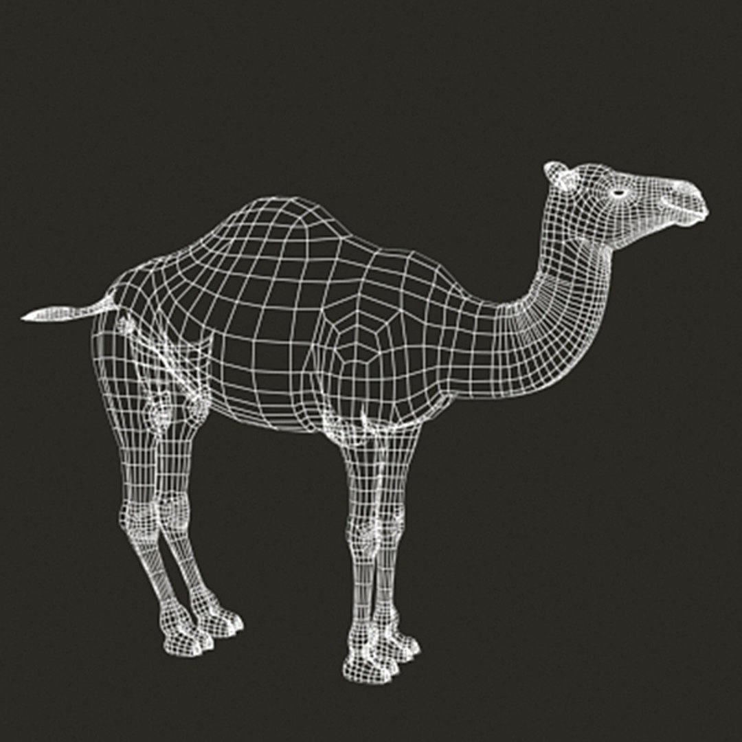 Polygonal Camel 3d Model
