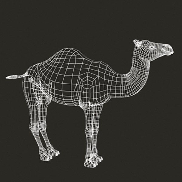 polygonal camel 3d model
