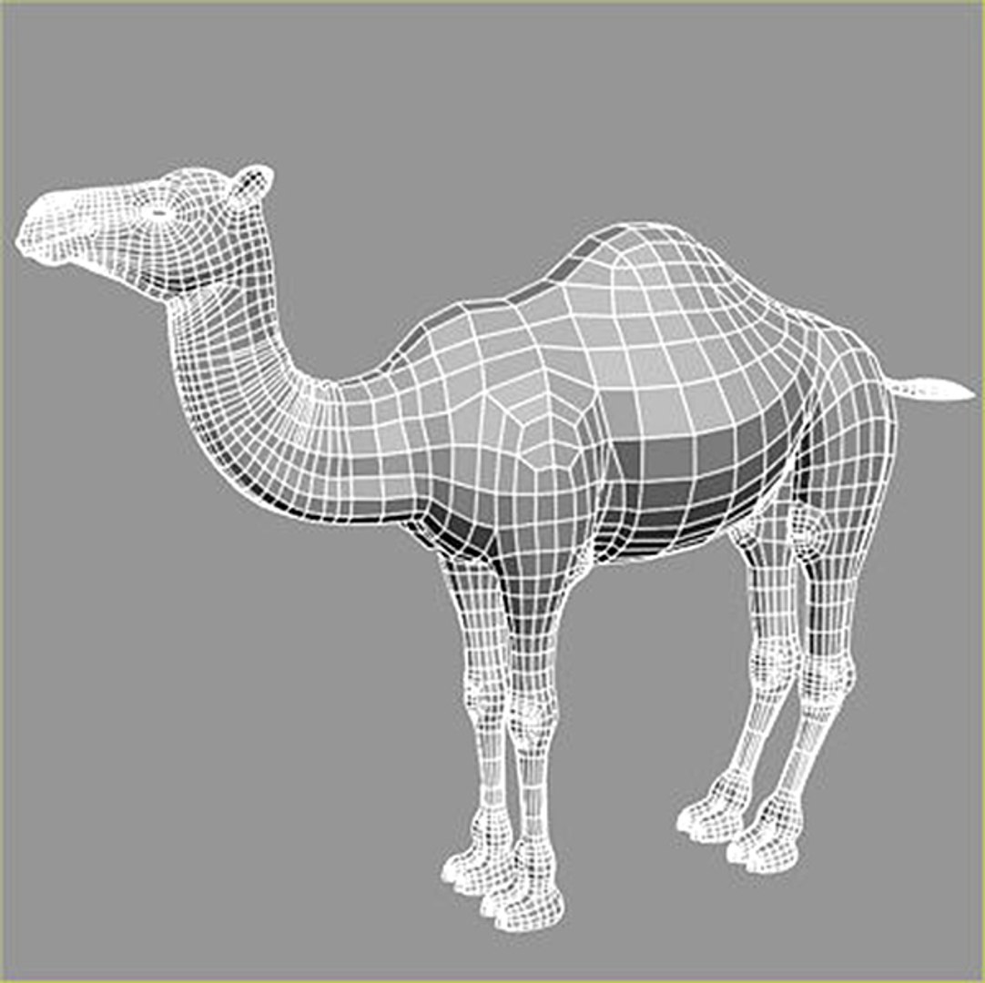 Polygonal Camel 3d Model