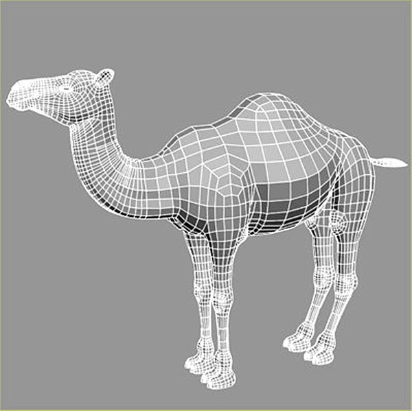 polygonal camel 3d model