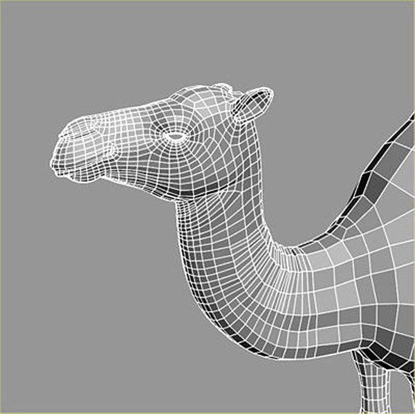 polygonal camel 3d model