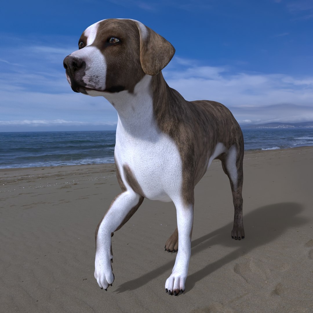 LAB-033 Dog Walking 3D - TurboSquid 1914870