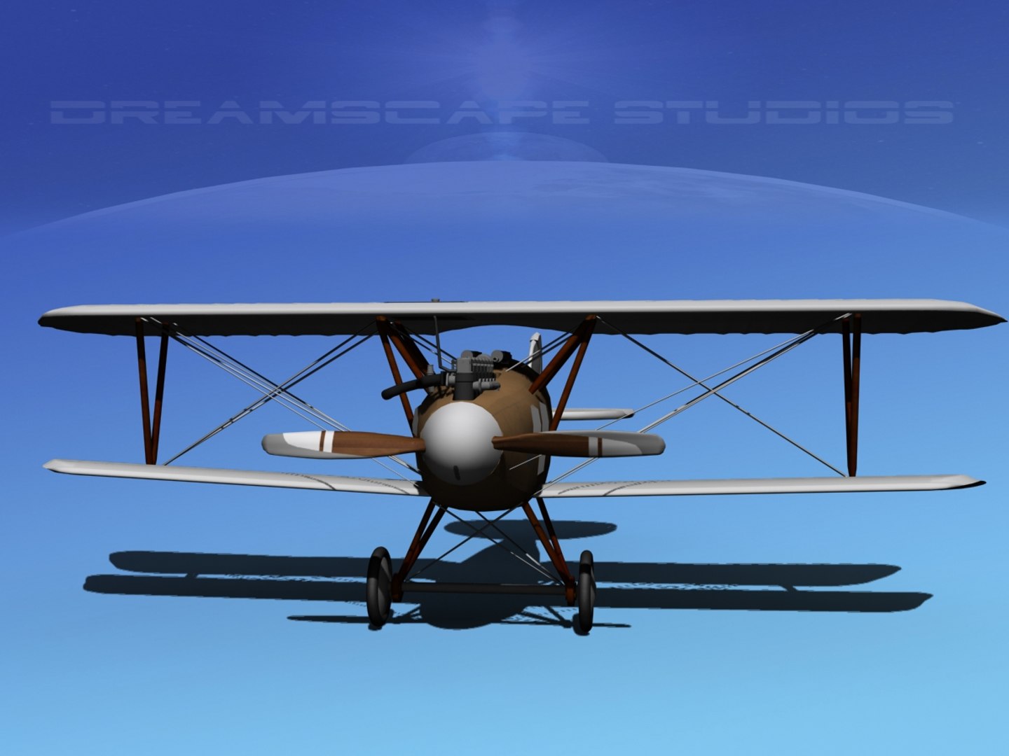 Albatross Fighter Diii 3d Model