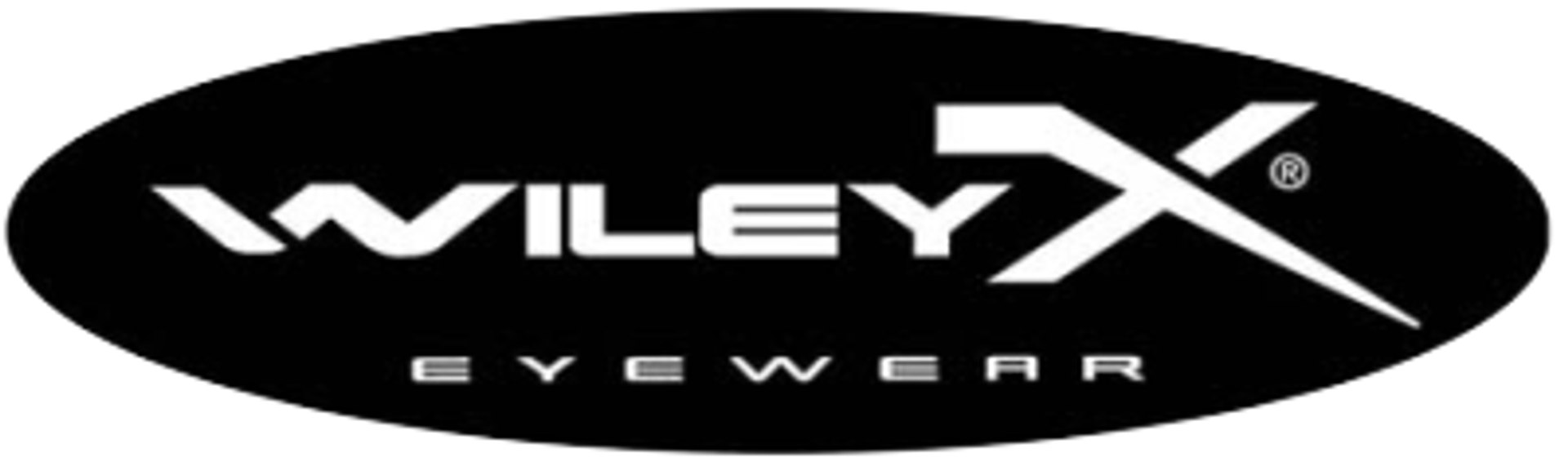 Wiley X Spear Goggles 3d Model