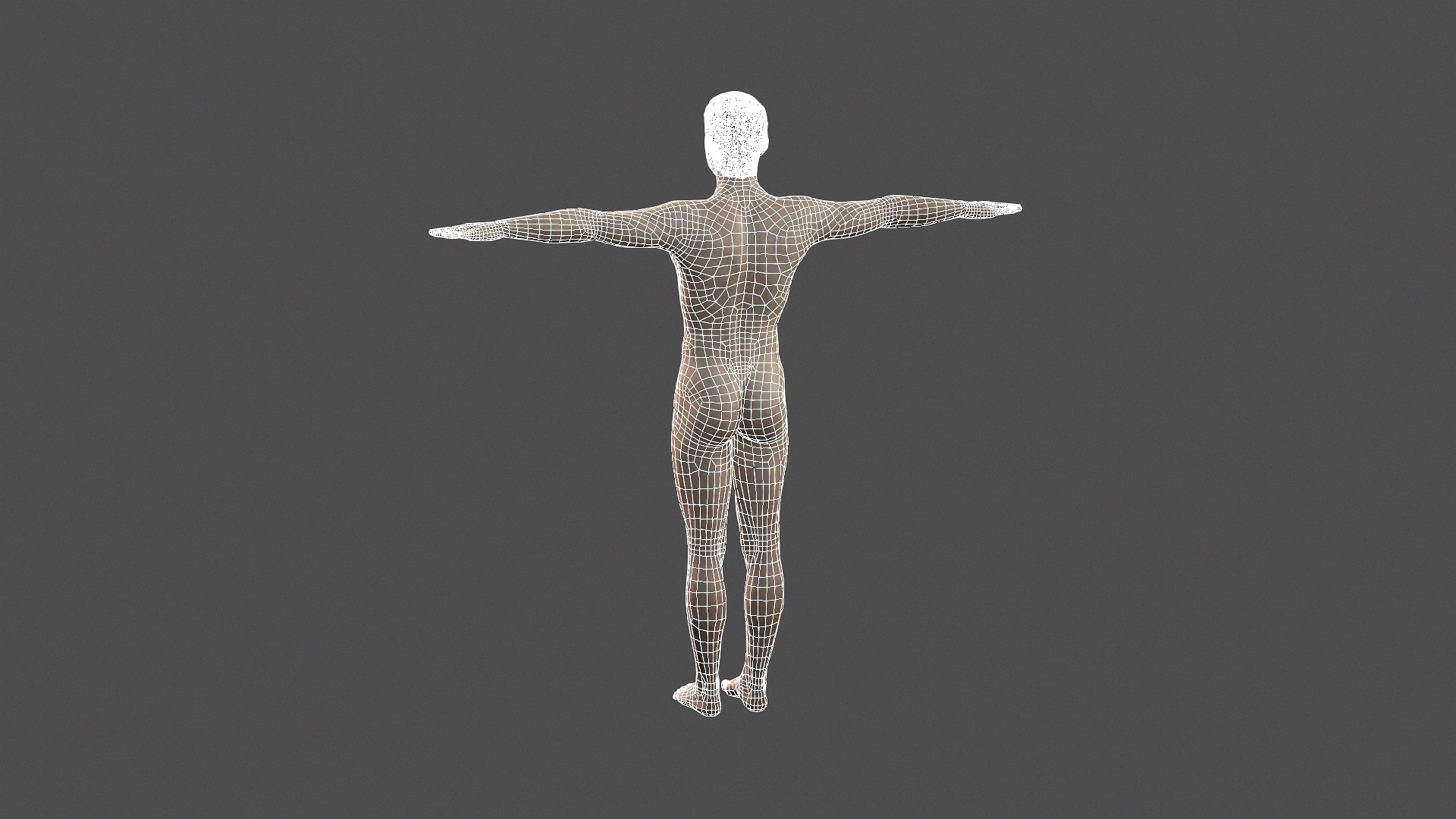 3D Model Rigged T Unity - TurboSquid 1685388