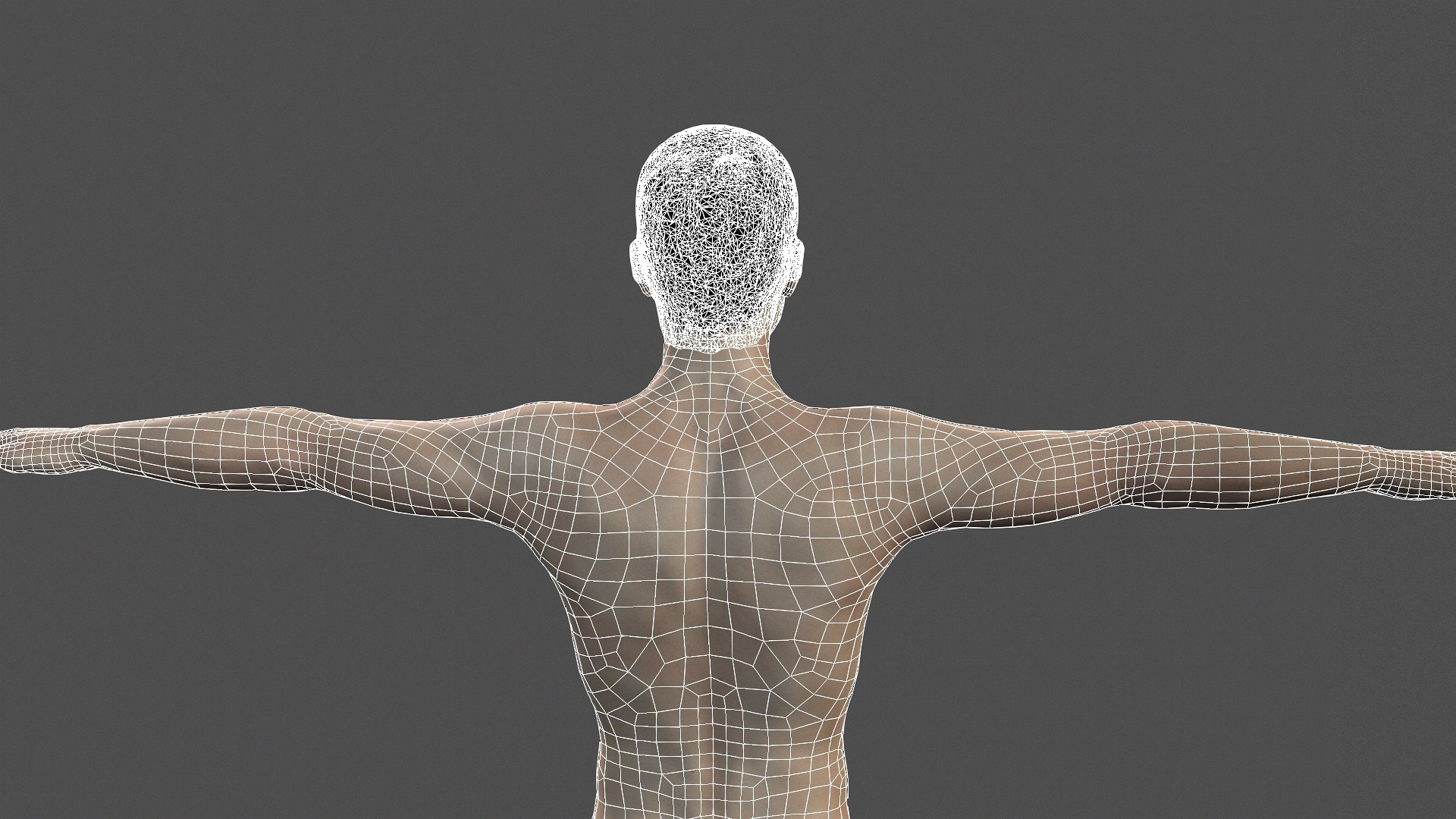 3D Model Rigged T Unity - TurboSquid 1685388