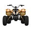 Polaris 500 Atv Quad 3d Model