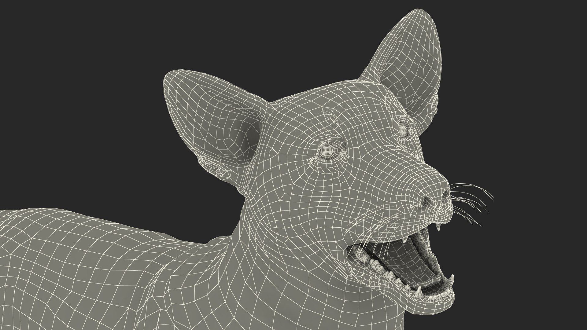 3D Pembroke Corgi With Rubber Ring Toy - TurboSquid 2432319