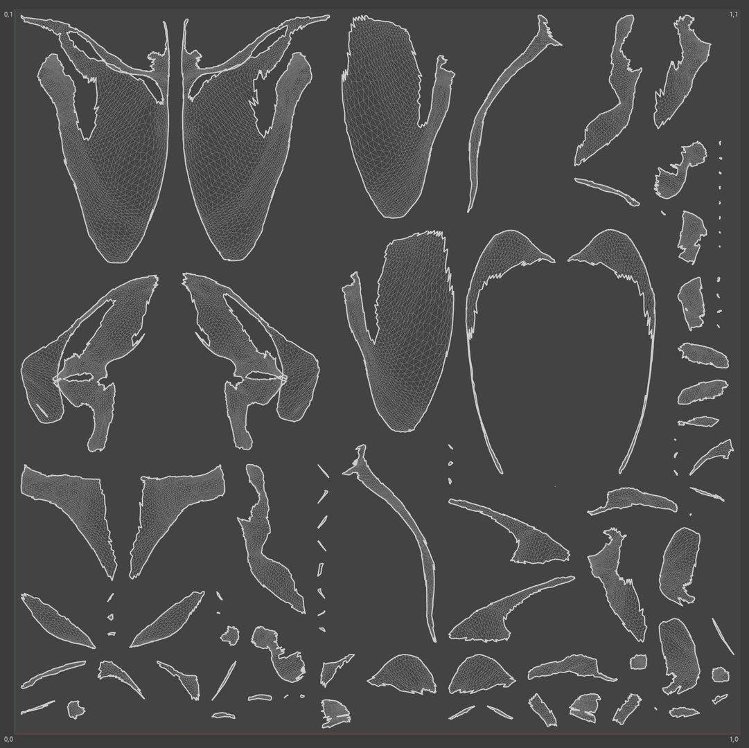 modèle 3D de Squelette humain - Modèle 3D High Poly - TurboSquid 1538556