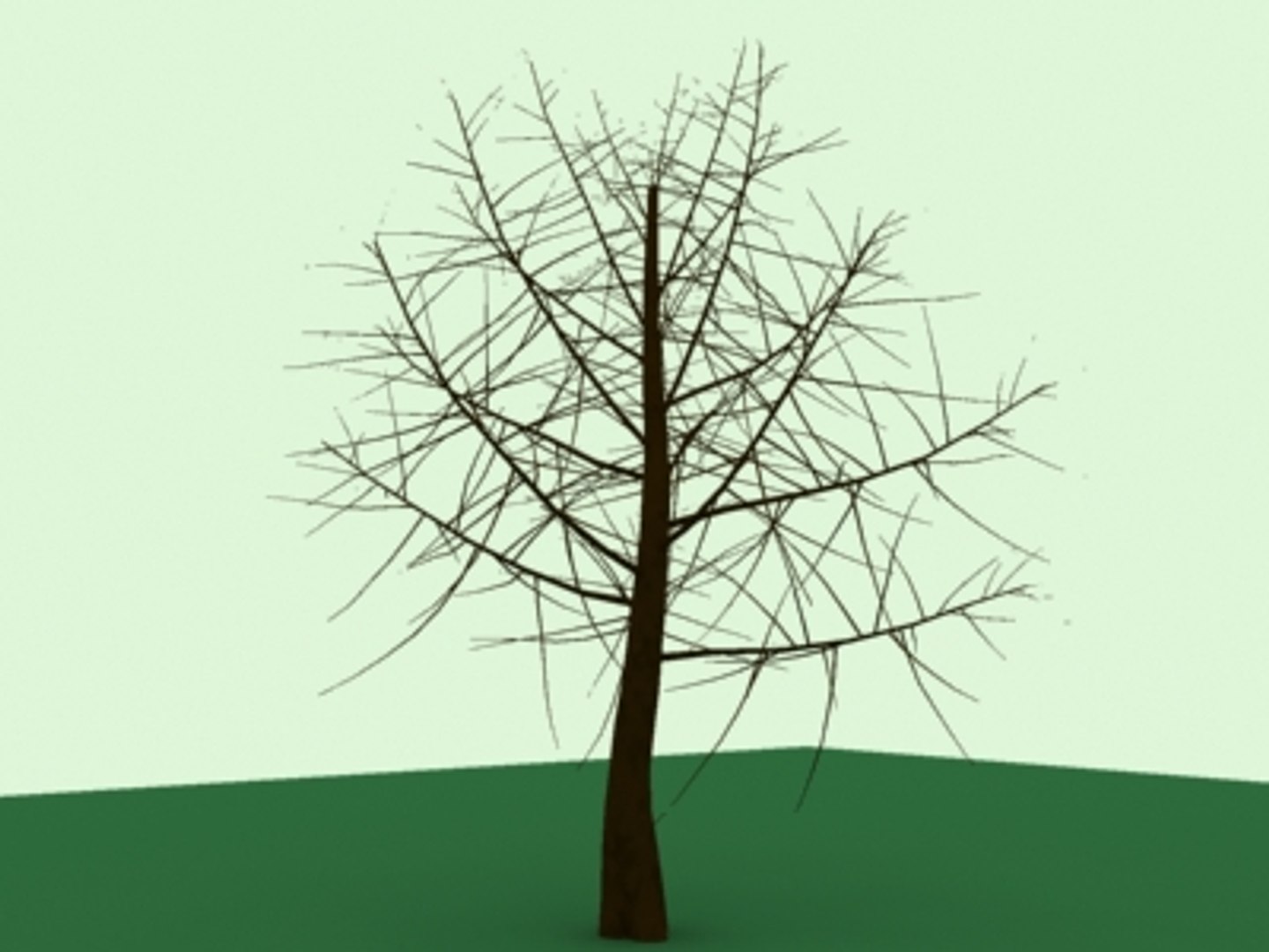 Tree 3d Max