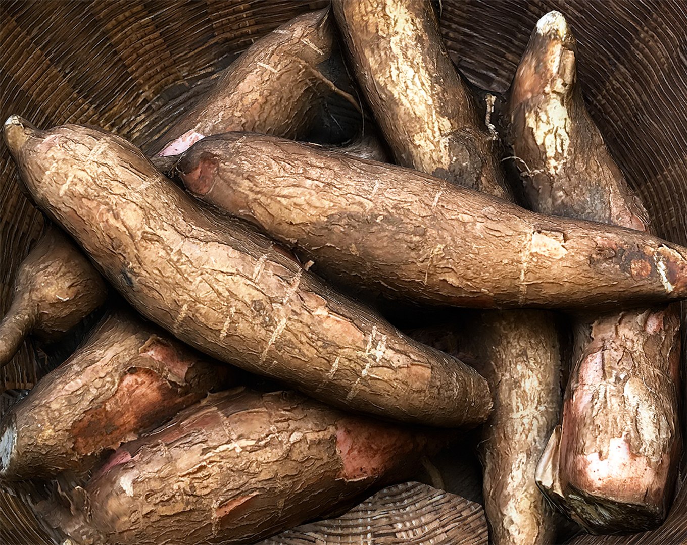 Basket Yucca 3D Model - TurboSquid 1418643