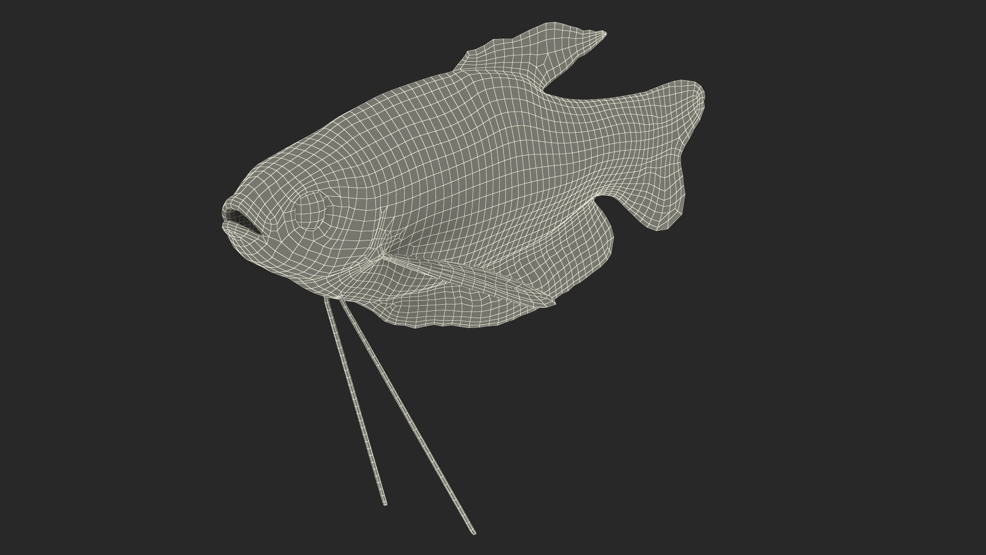 3D Blue Opaline Gourami Fish Rigged For Maya - TurboSquid 2247296