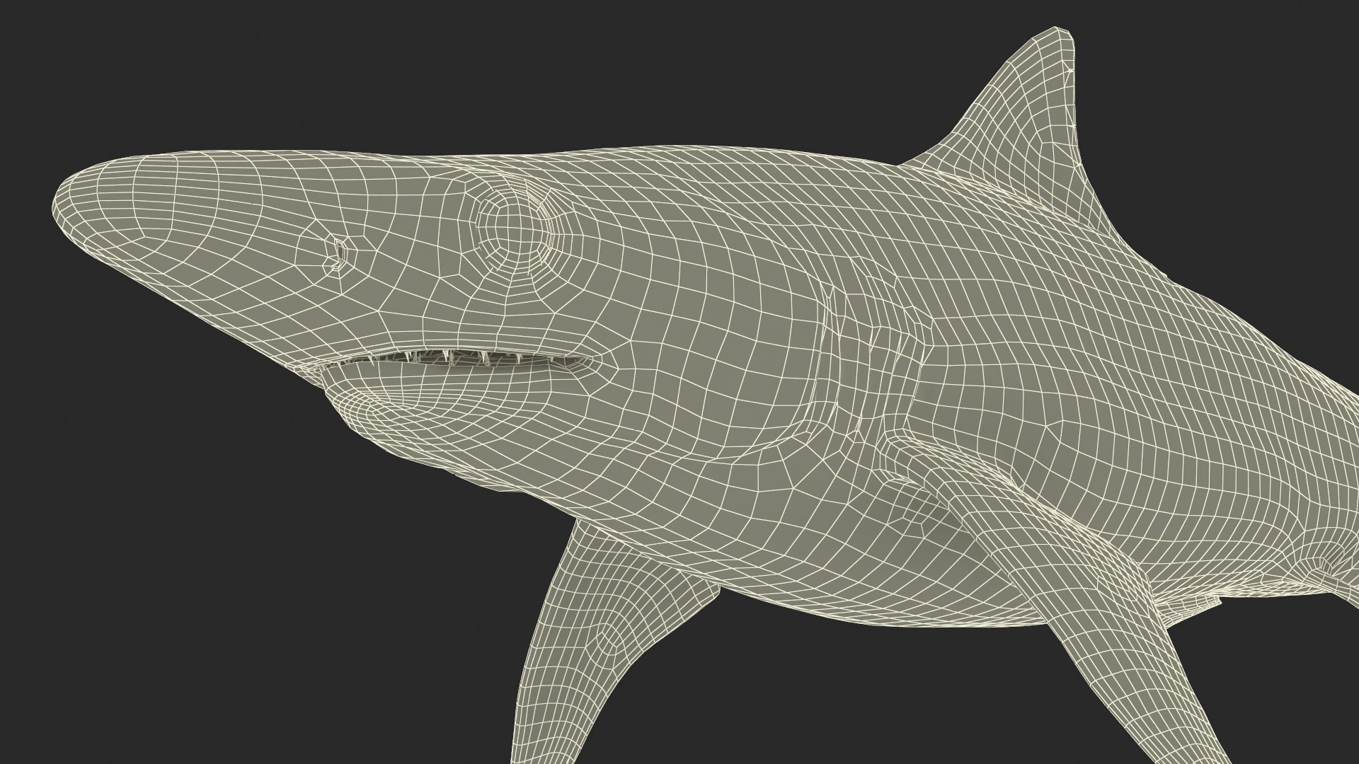 Oceanic Milk Shark 3D Model - TurboSquid 2345965