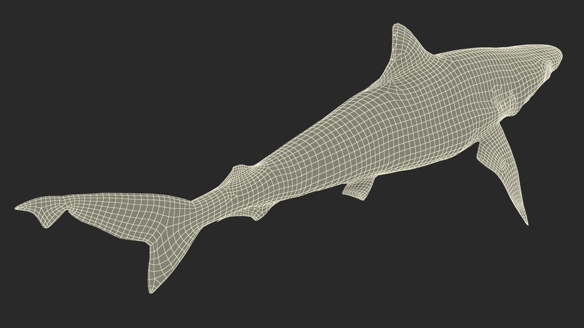 Oceanic Milk Shark 3D Model - TurboSquid 2345965
