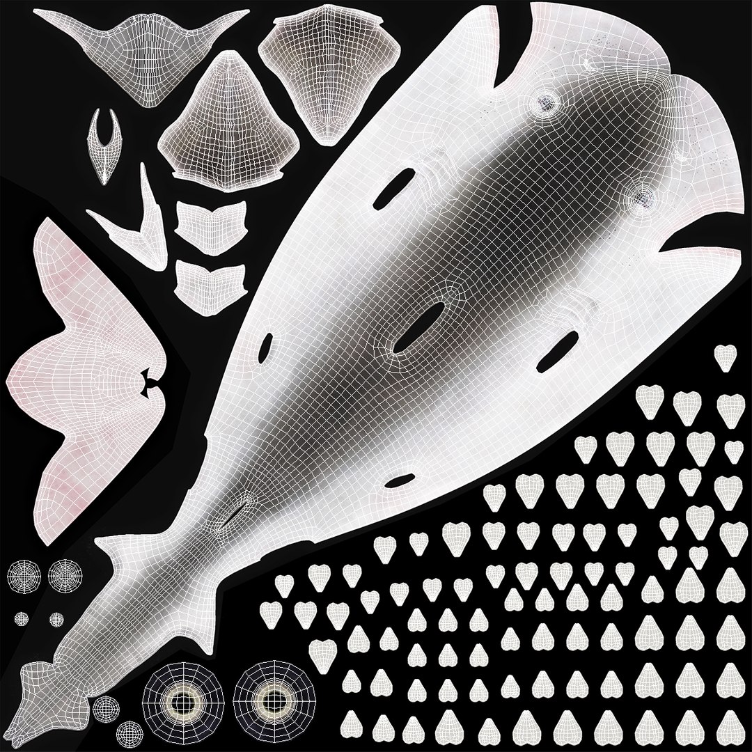 Oceanic Milk Shark 3D Model - TurboSquid 2345965