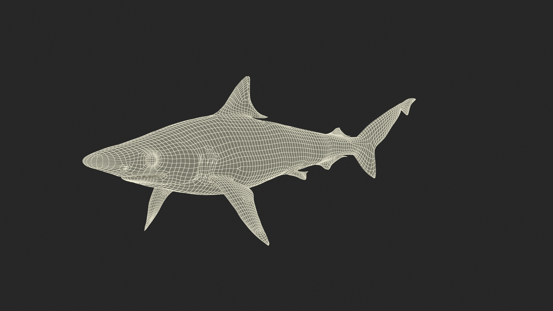 Oceanic Milk Shark 3D Model - TurboSquid 2345965