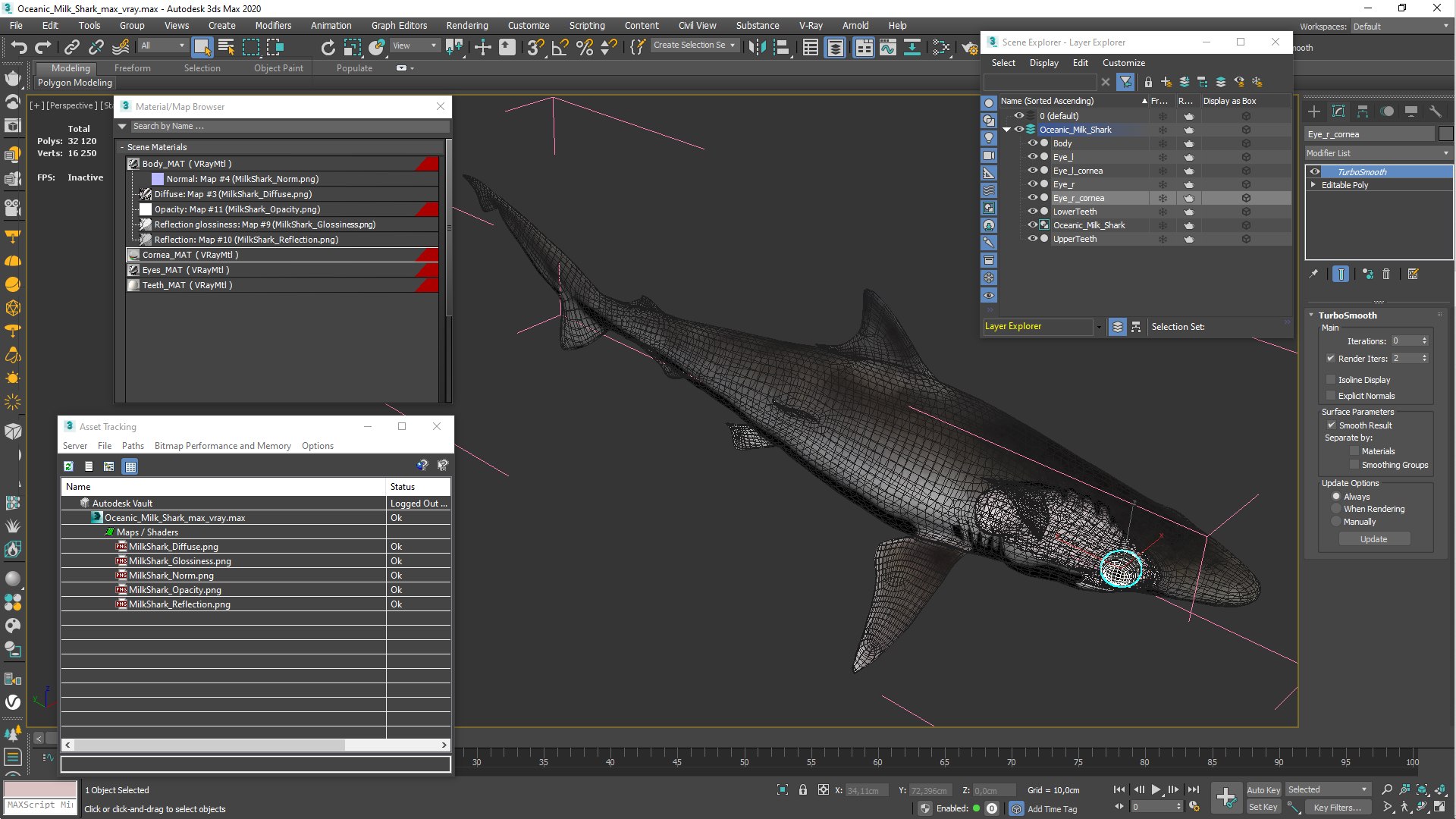 Oceanic Milk Shark 3D Model - TurboSquid 2345965