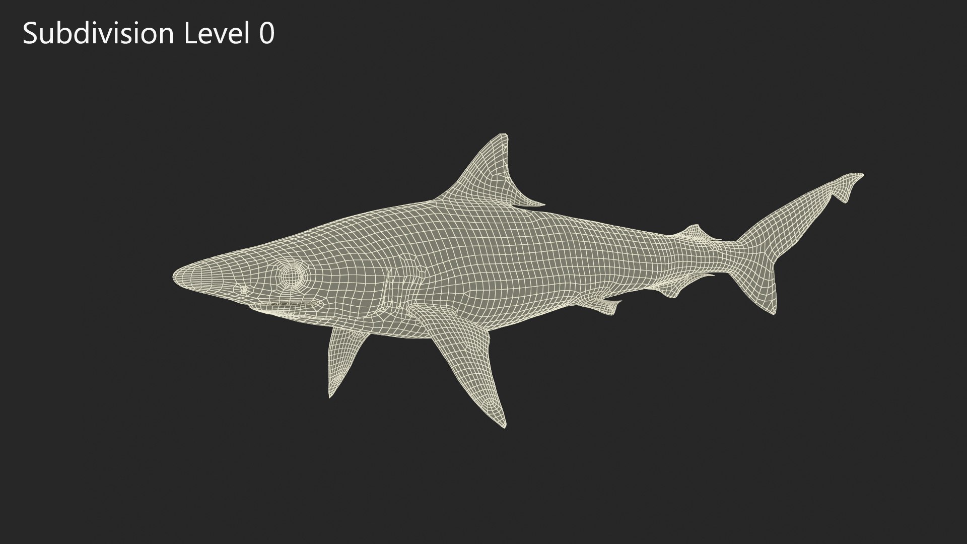 Oceanic Milk Shark 3D Model - TurboSquid 2345965