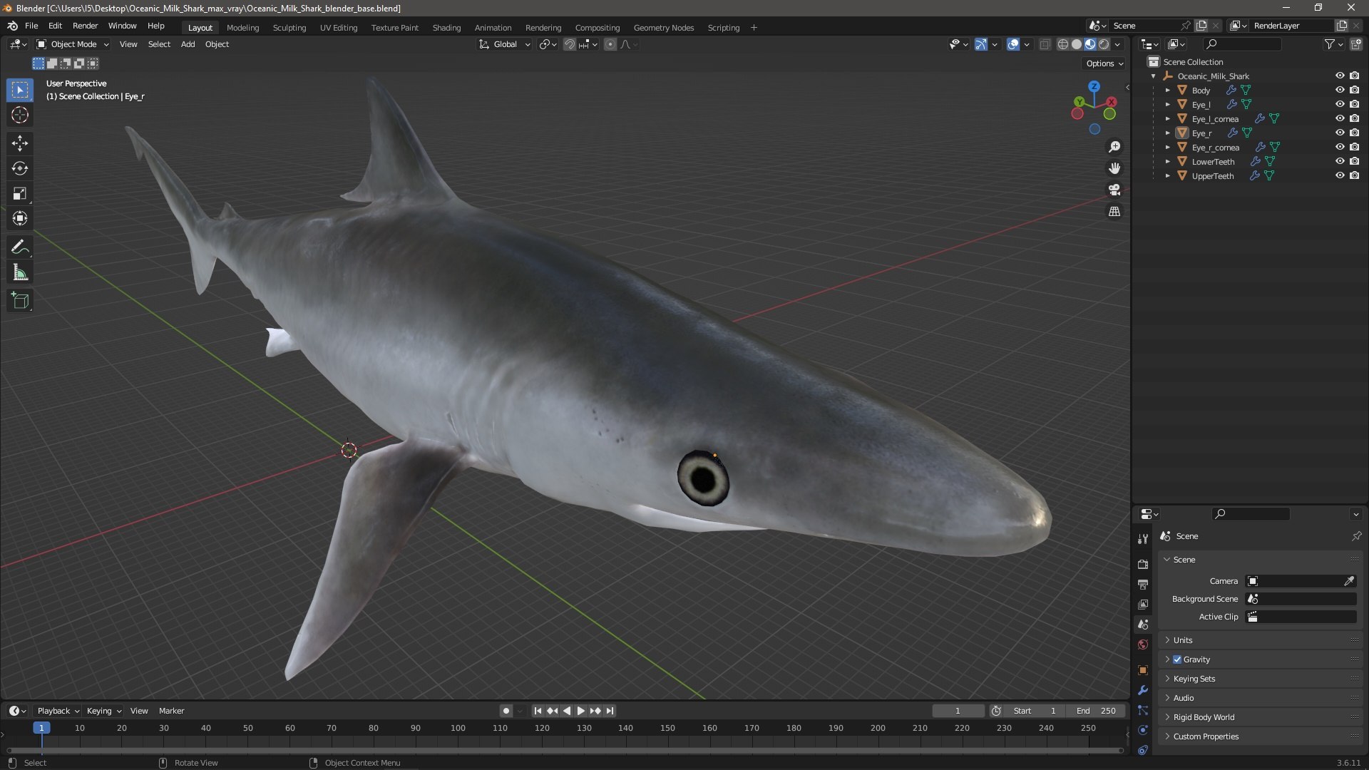 Oceanic Milk Shark 3D Model - TurboSquid 2345965