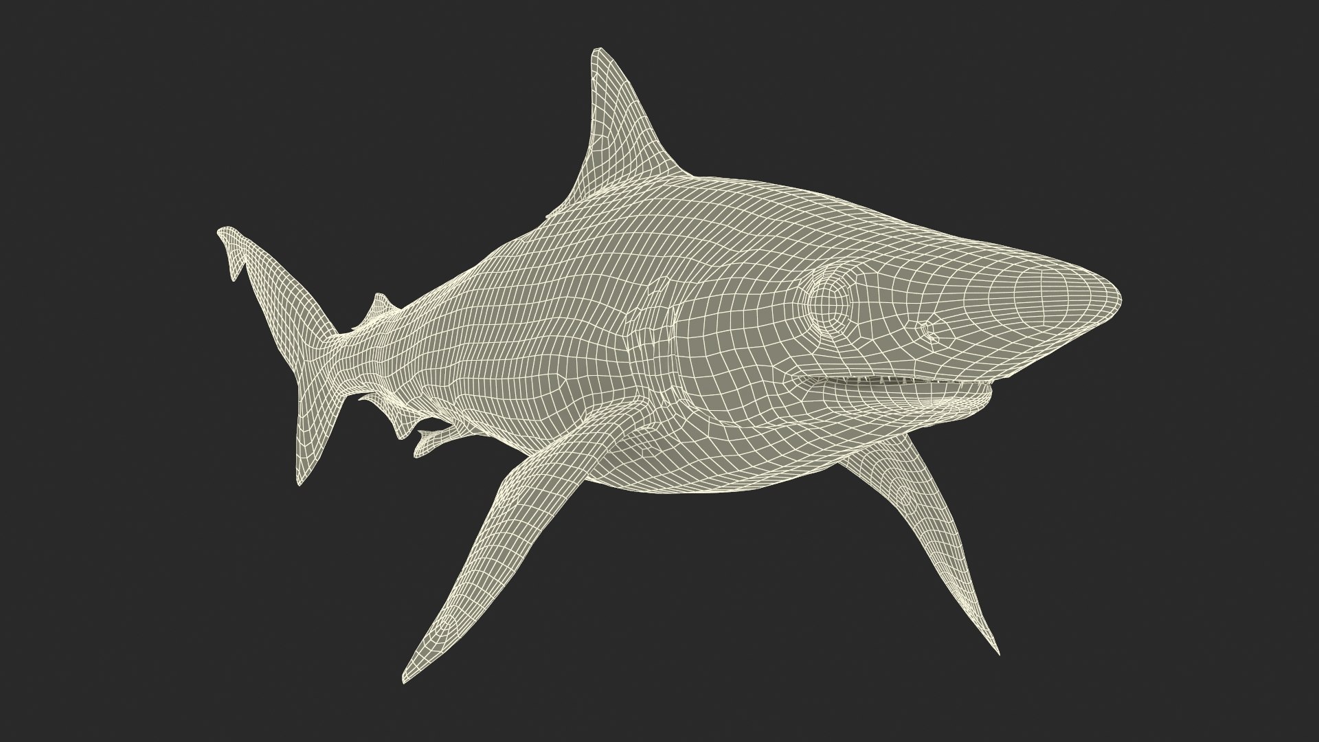 Oceanic Milk Shark 3D Model - TurboSquid 2345965