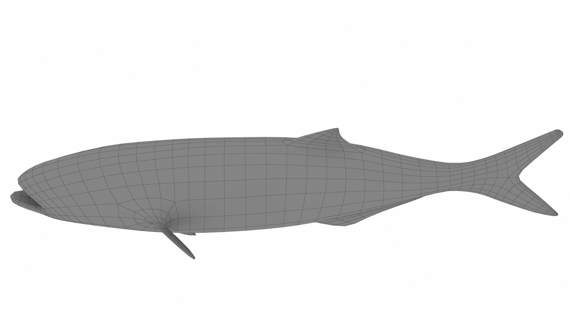 3D Fish Collection 4 In 1 - Atlantic Fish Model - TurboSquid 2381449