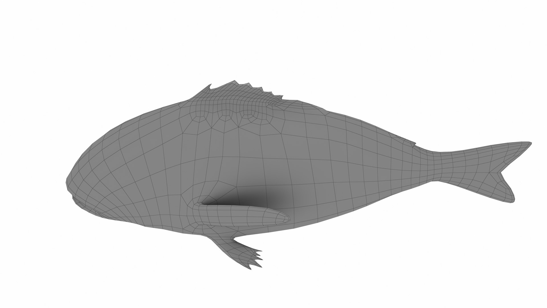 3D Fish Collection 4 In 1 - Atlantic Fish Model - TurboSquid 2381449