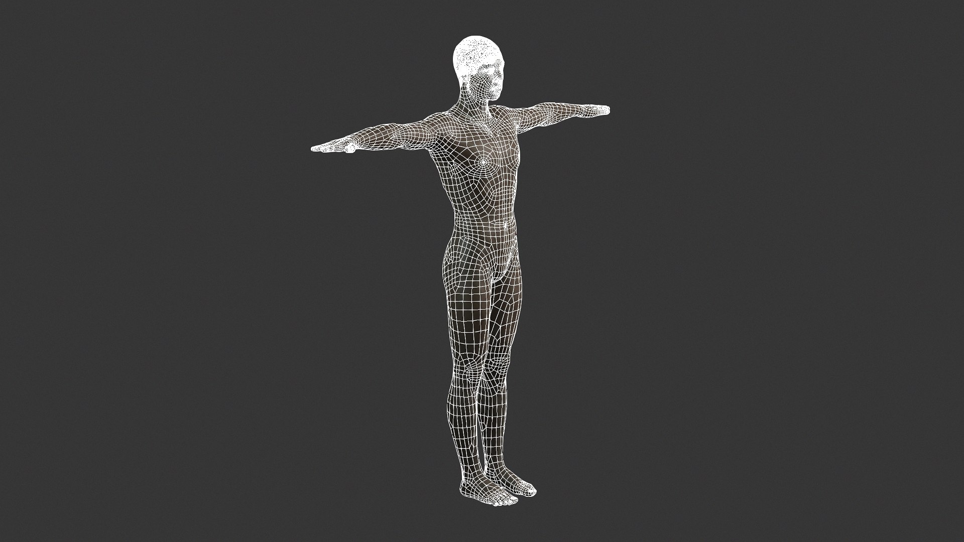 Character Rigged T 3D Model - TurboSquid 1700459