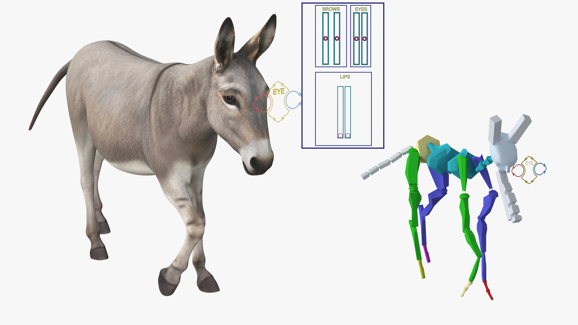 3D Four-Legged Livestock Donkey Rigged Model - TurboSquid 2424412