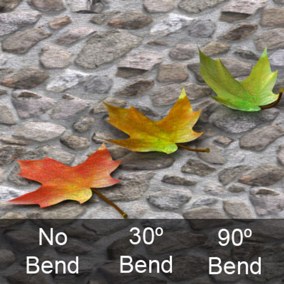 3ds Max Fallen Leaves Fall