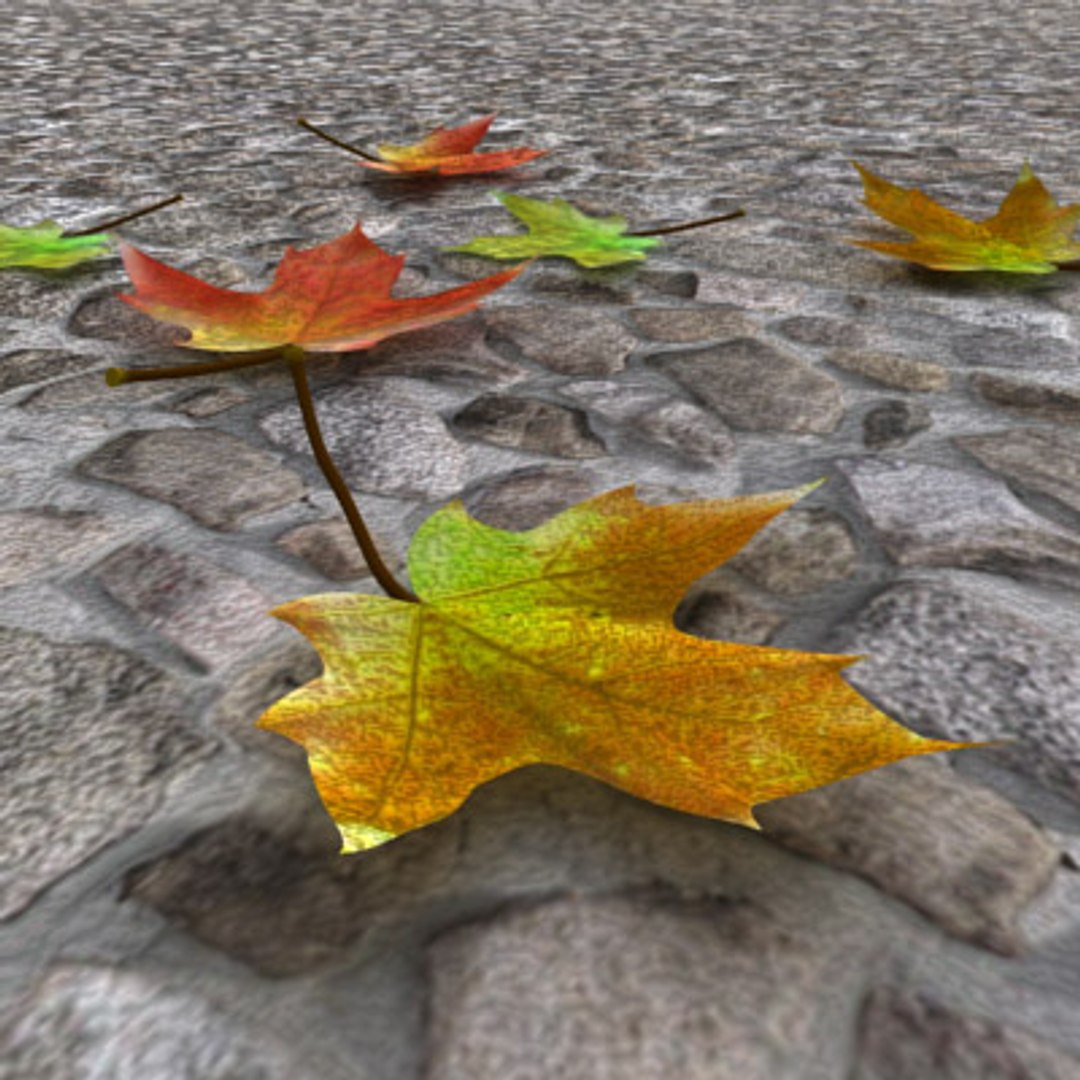 3ds Max Fallen Leaves Fall