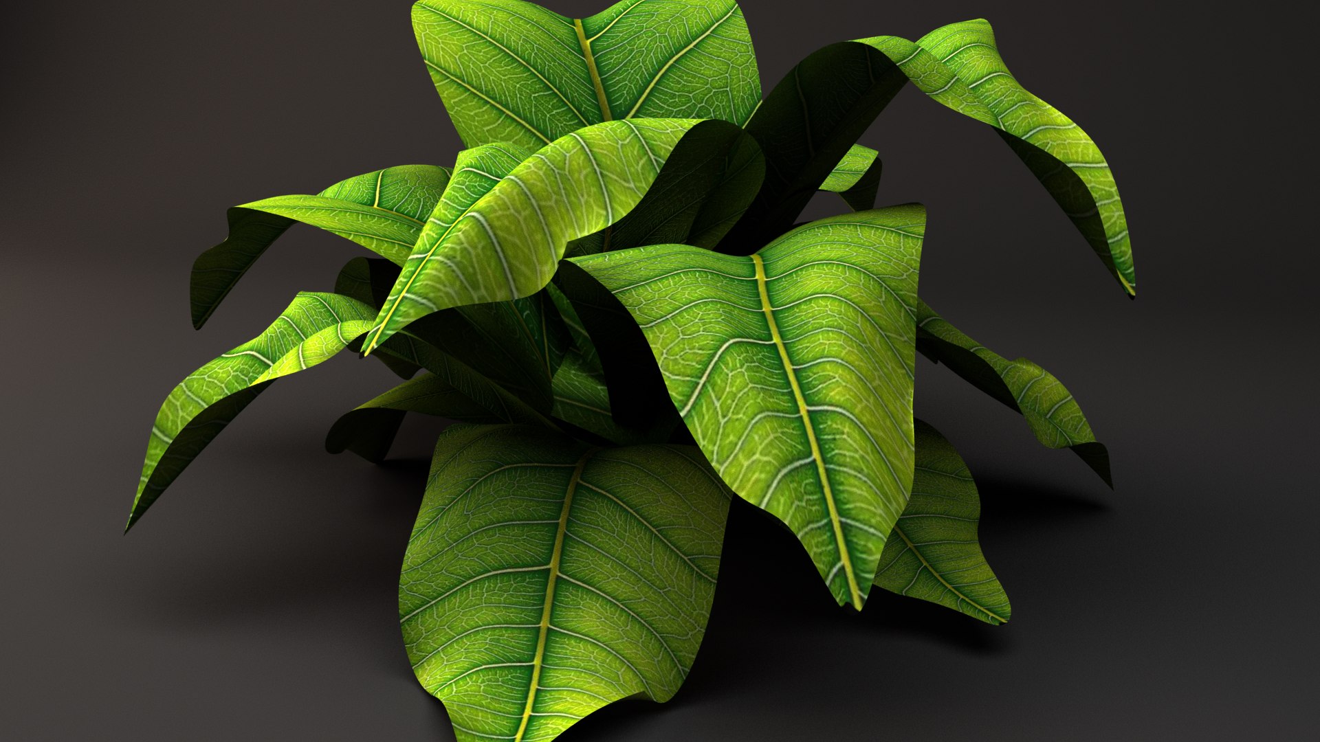 Plant Leaf 3d Obj
