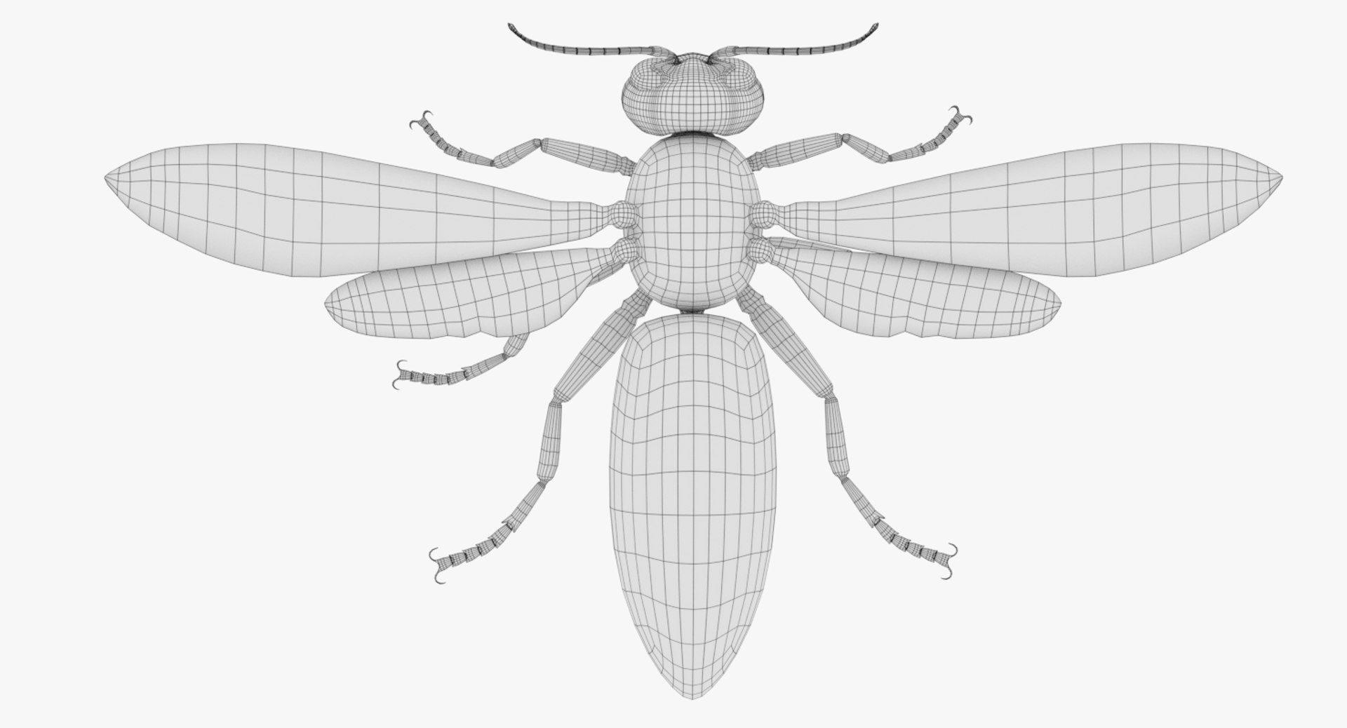 3D wasp - TurboSquid 1266587