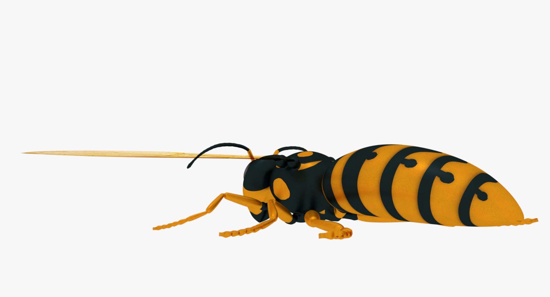 3D wasp - TurboSquid 1266587