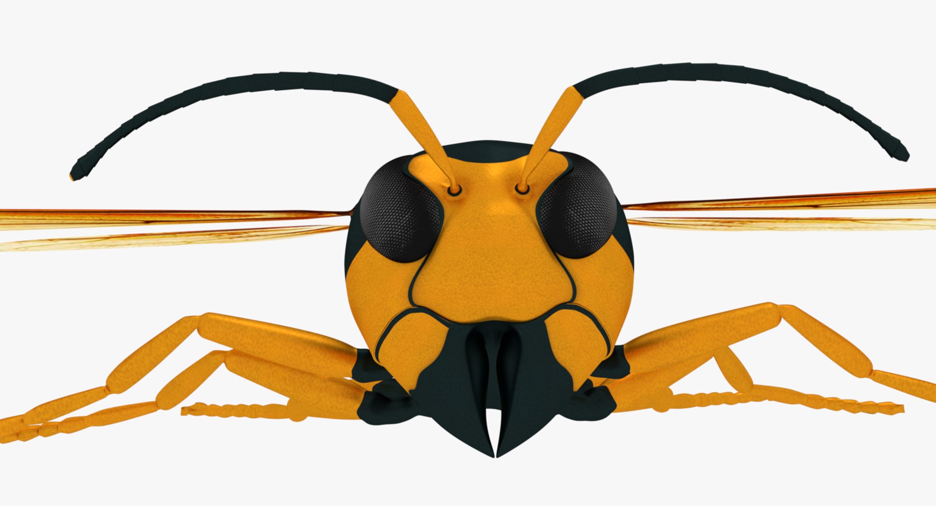 3D wasp - TurboSquid 1266587