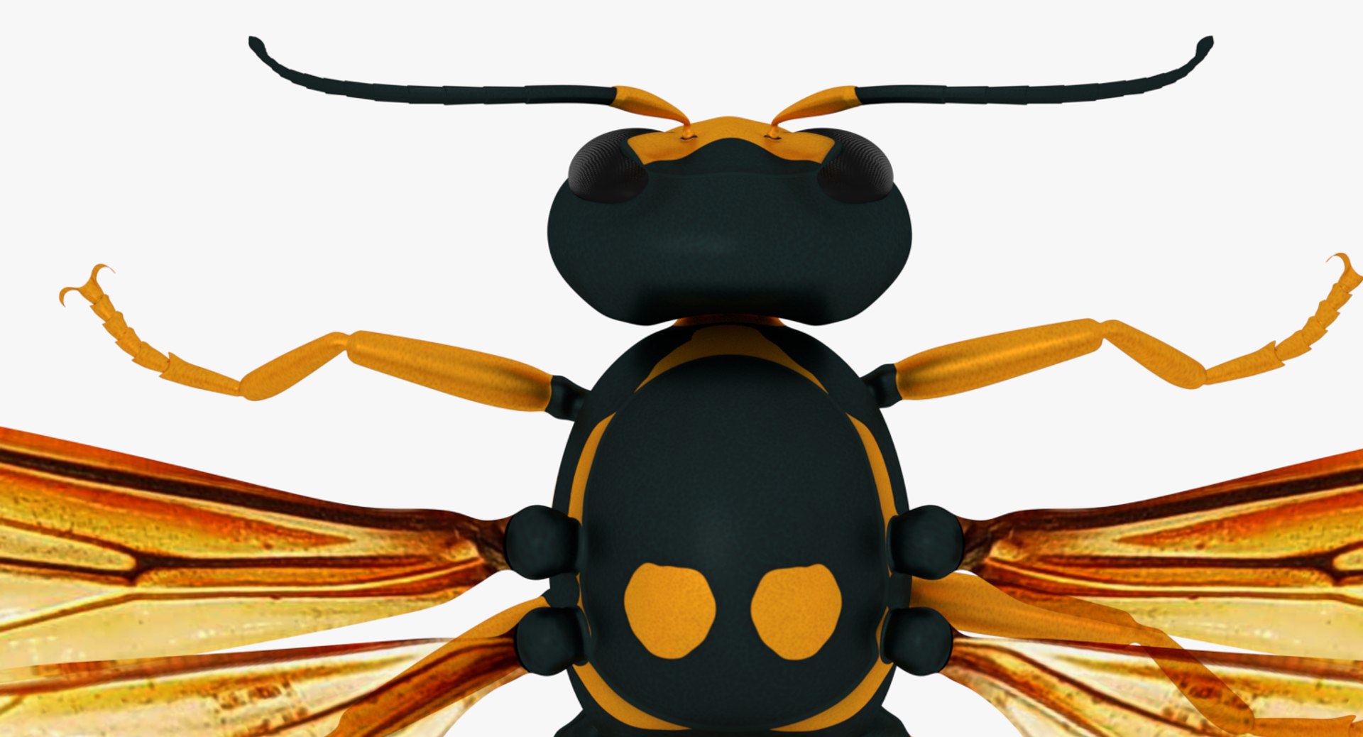 3D wasp - TurboSquid 1266587