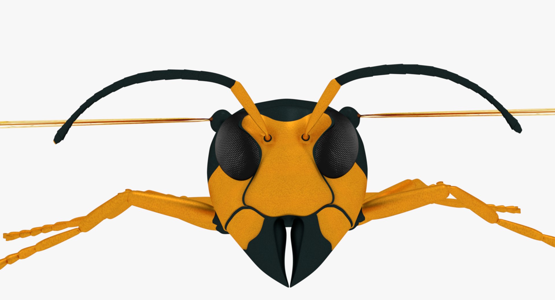 3D wasp - TurboSquid 1266587