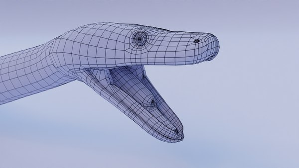 3D Reticulated Python - Rigged - TurboSquid 1842287