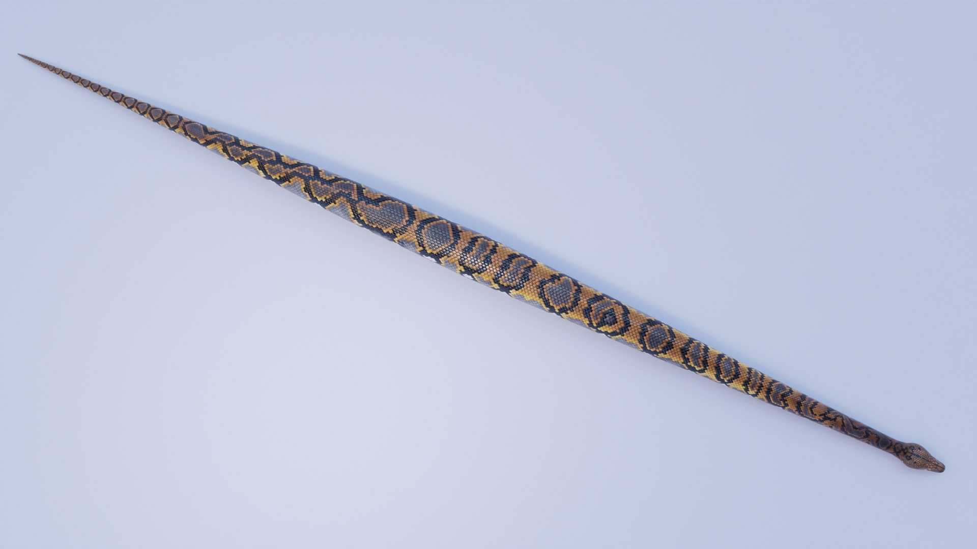 3D Reticulated Python - Rigged - TurboSquid 1842287