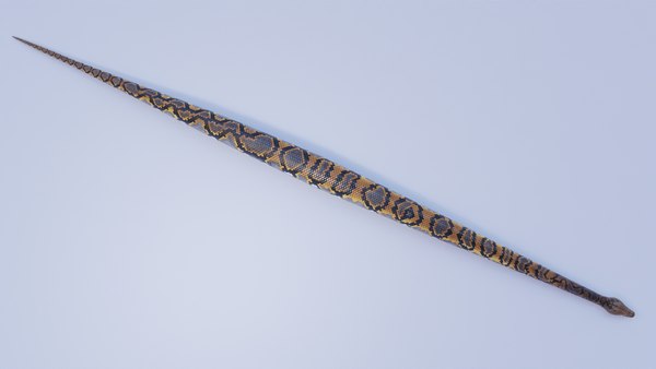 modelo 3d Python reticulado - Rigged - TurboSquid 1842287