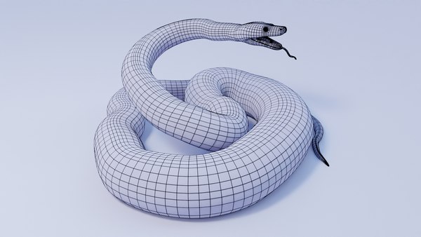 3D Reticulated Python - Rigged - TurboSquid 1842287